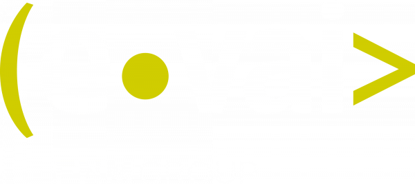 E-VAI 可持续汽车共享 - 公司